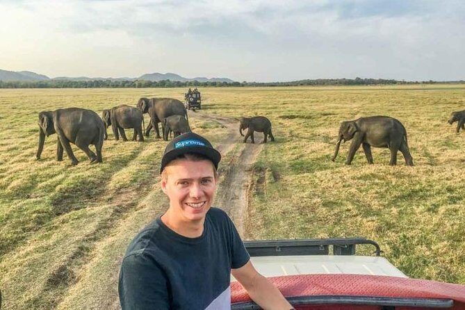 Half Day Minneriya National Park Safari from Sigiriya - An In-Depth Look at the Safari Experience