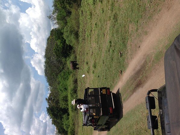 Half Day - Minneriya National Park Safari Tour From Habarana/Sigiriya - What’s Included and What’s Not