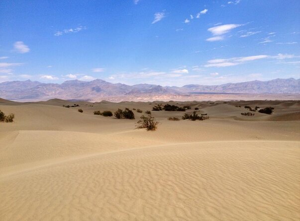 Half-Day Mojave Desert ATV Tour from Las Vegas - What the Reviews Say: Authentic Perspectives