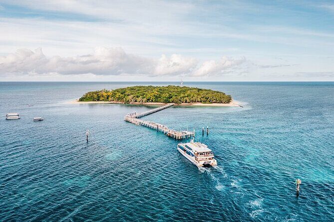 Half Day Morning Adventure - Fitzroy Island Return Ferry Included - Who Should Consider This Tour?
