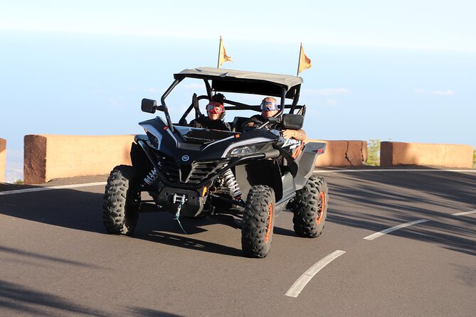 Half Day Morning Buggy Tour in Teide National Park - Who Will Love This Tour?