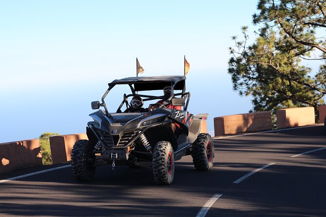 Half Day Morning Buggy Tour in Teide National Park - FAQ