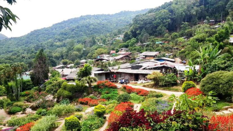 Half Day Morning Doi Suthep & Doi PUI MEO Village with Guide - Authentic Experiences and What Real Travelers Say