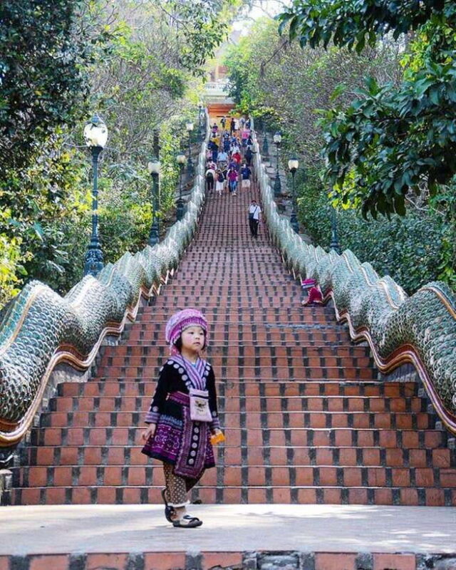 Half Day Morning Doi Suthep & Doi PUI MEO Village with Guide - Final Thoughts: Who Will Love This Tour?