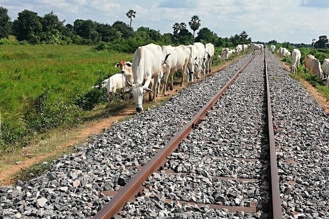 half day morning tour by Tuk-Tuk - Who Would Love This Tour?