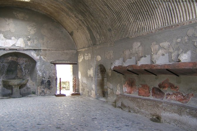 Half Day Morning Tour of Herculaneum from Sorrento - Who Is This Tour Best For?