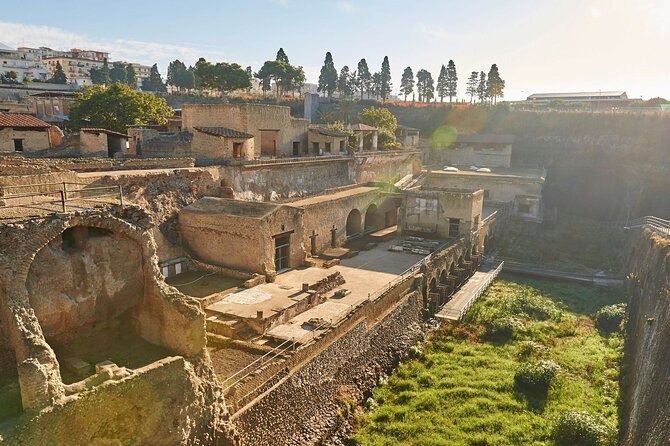 Half Day Morning Tour of Herculaneum from Sorrento - FAQs