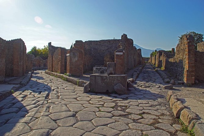 Half Day Morning Tour of Pompeii from Sorrento - Who This Tour Is Best For