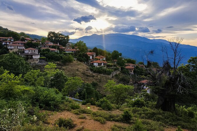 Half-day Mount Olympus Sunset Tour - Exploring the Itinerary and What Youll Experience