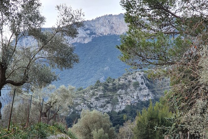 Half-Day Mountain Bike Experience to Serra de Tramuntana, - The Benefits of Guided Cycling