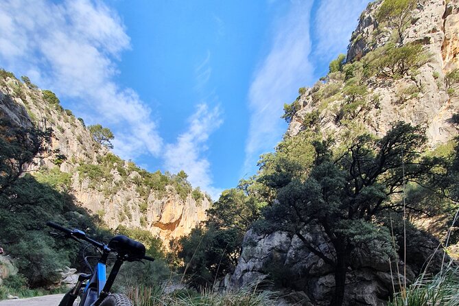Half-Day Mountain Bike Experience to Serra de Tramuntana, - What You Need to Know Before Booking