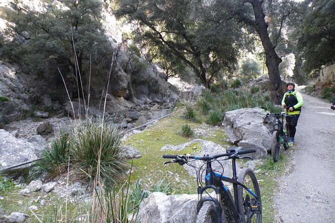 Half-Day Mountain Bike Experience to Serra de Tramuntana, - Authentic Experiences and Customer Feedback