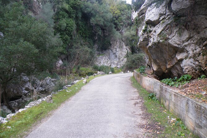 Half-Day Mountain Bike Experience to Serra de Tramuntana, - The Sum Up: Is This Tour for You?