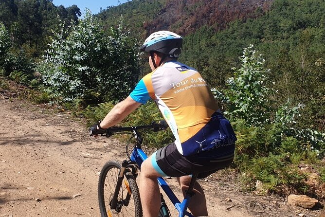 Half day Mountain Bike Tour in Porto - An In-Depth Look at the Mountain Bike Tour in Porto