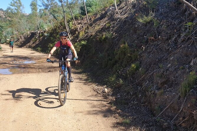 Half day Mountain Bike Tour in Porto - Final Thoughts: Why This Tour is a Great Choice