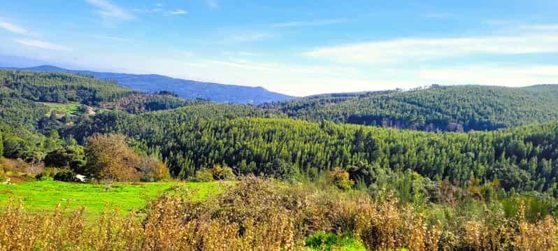 Half-Day Mountain Jeep Safari with firewater tasting - Authentic Experiences and Hidden Gems