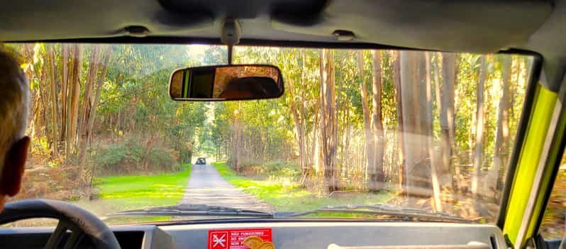 Half-Day Mountain Jeep Safari with firewater tasting - The Sum Up: Who Should Consider This Tour?