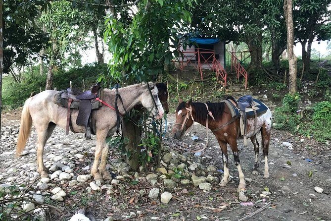Half-Day Mountain Ride in Puerto Plata - Authentic, Balanced, and Enjoyable