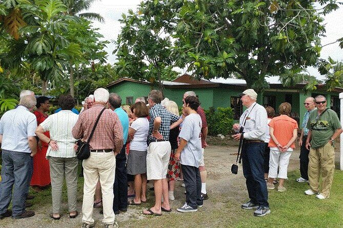 Half Day Mudpools, Veseisei Fijian Village, Gardens of Sleeping Giants &Shopping - Why This Tour Works for Travelers