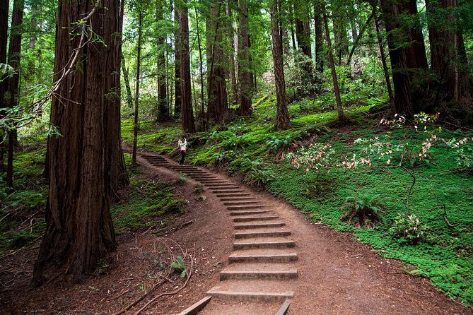 Half-Day Muir Woods & Sausalito Tour with Entry Ticket Included - Key Points
