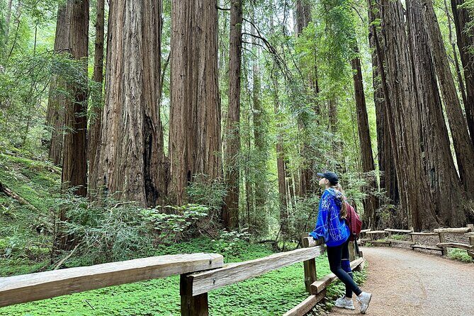 Half-Day Muir Woods & Sausalito Tour with Entry Ticket Included - A Detailed Look at the Tour Itinerary