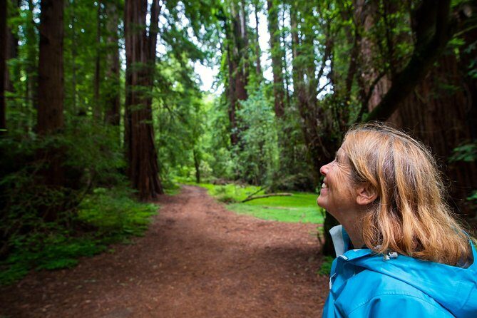 Half-Day Muir Woods & Sausalito Tour with Entry Ticket Included - The Sum Up