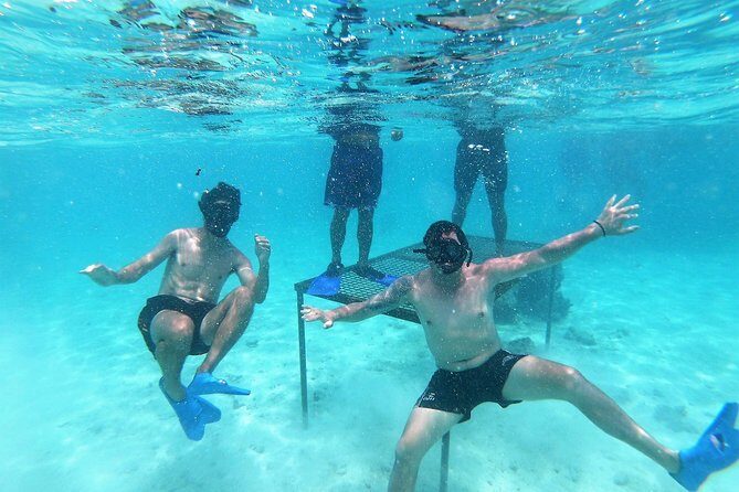 Half-Day Muri Lagoon BBQ Lunch Cruise including Snorkeling - Key Points