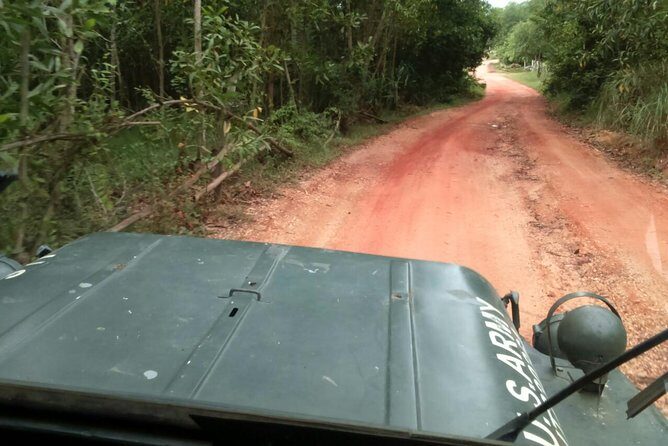 Half Day My Son Holy Land by Jeep from Hoi An - Exploring the Half Day My Son Holy Land by Jeep from Hoi An