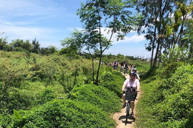 Half-Day My Son Sanctuary Bike Tour from Hoi An - Introduction: A Bicycle Ride into Vietnam’s Heart