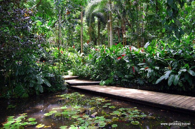Half Day Nadi Sightseeing & Mud Pool Tour - What’s on the Itinerary?