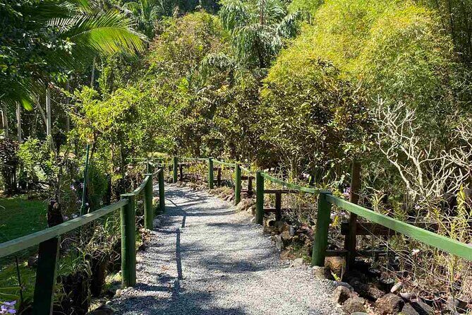 Half Day Nadi Tour Temple, Market, Gardens and Mud Pools - The Itinerary in Detail