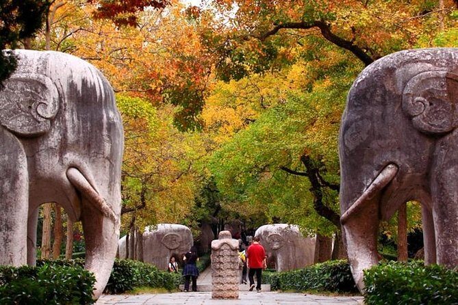Half Day Nanjing City Private Flexible Tour with Night River Cruise - An In-Depth Look at the Itinerary
