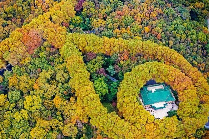 Half-Day Nanjing Purple Mountain Private Tour in Your Way - What Makes This Tour Stand Out?