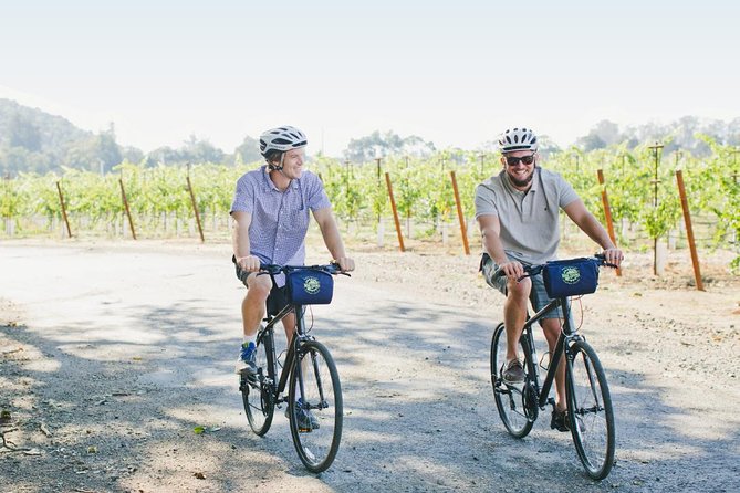 Half-Day Napa Valley E-Bike Tour - Highlights of the Scenic Route