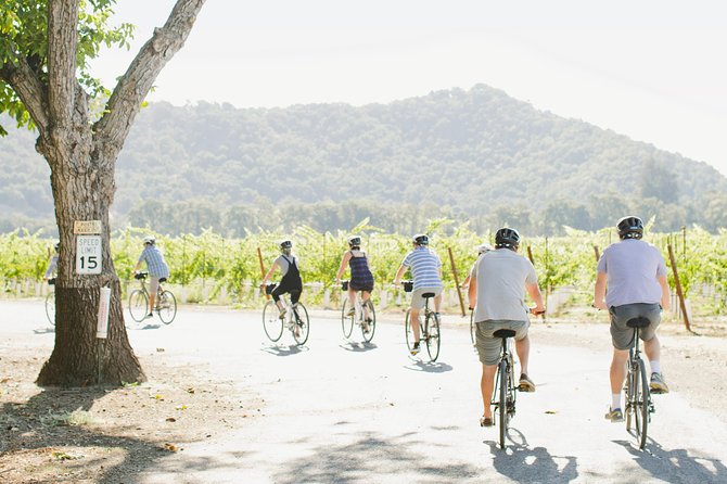 Half-Day Napa Valley E-Bike Tour - Guest Reviews and Feedback