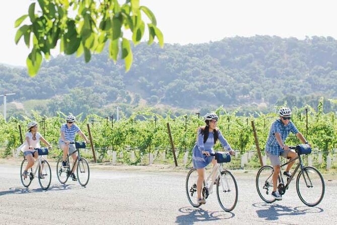 Half-Day Napa Valley E-Bike Tour - Booking Information and Pricing