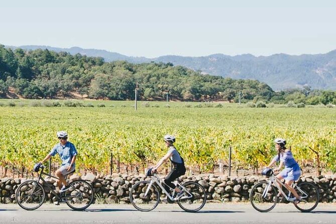 Half-Day Napa Valley E-Bike Tour - Tips for a Great Experience