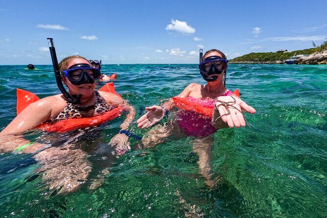 Half-Day Nassau Getaway: Rose Island Snorkeling & Turtle Visit - Final Thoughts