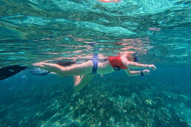 Half-Day Nassau Getaway: Rose Island Snorkeling & Turtle Visit - FAQs