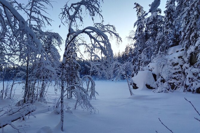 Half-Day Nature Adventure to Nuuksio National Park from Helsinki - Exploring Nuuksio National Park: A Detailed Guide to the Half-Day Nature Adventure from Helsinki