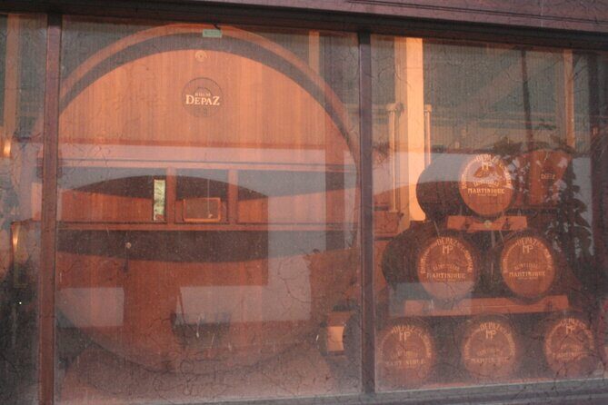 Half-Day Nature and Panorama Tour in Martinique - The Sum Up