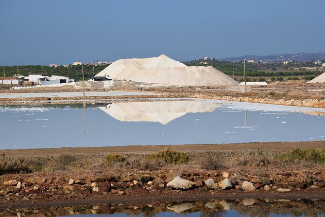 Half-Day Nature Safari in the Algarve - Final Thoughts: Is It Worth It?