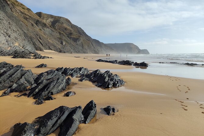 Half Day Nature Walk and Picnic at West Coast Algarve - Who Will Love This Tour?