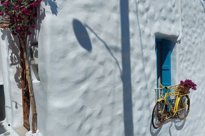 Half-Day Naxos Old Town, Castle and Apollo Temple Private Tour - Practical Details and Tips