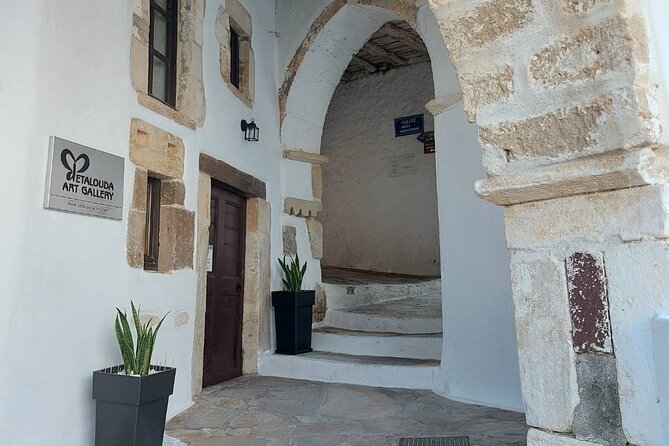 Half-Day Naxos Old Town, Castle and Apollo Temple Private Tour - Who Should Book This Tour?