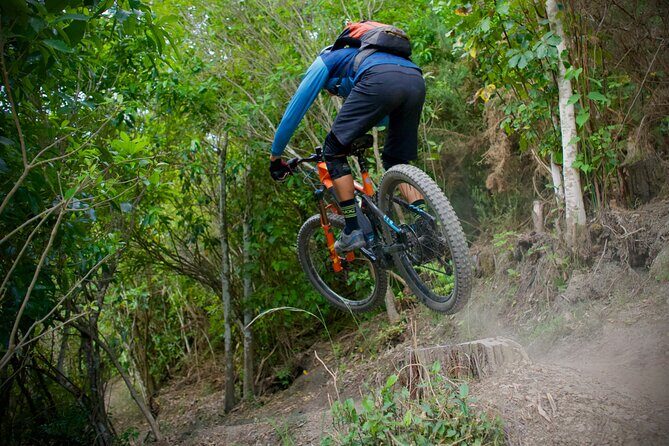 Half Day Nelson Electric Mountain Bike Rental Adventure - What is the Nelson Electric Mountain Bike Rental Experience?