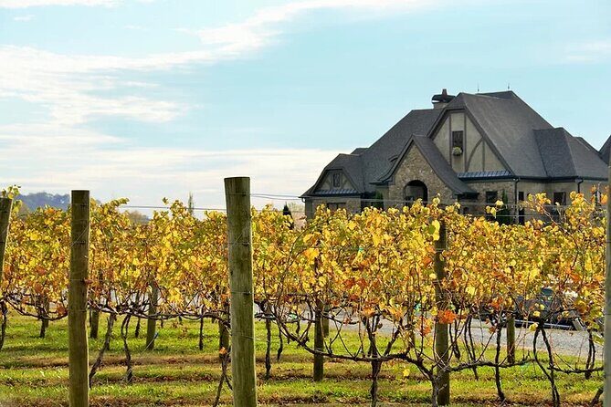 Half-Day North Georgia Wine Country Tour From Atlanta - Final Thoughts