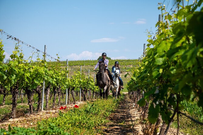 Half-Day of Horseback Adventure with Wine Tasting - Key Points