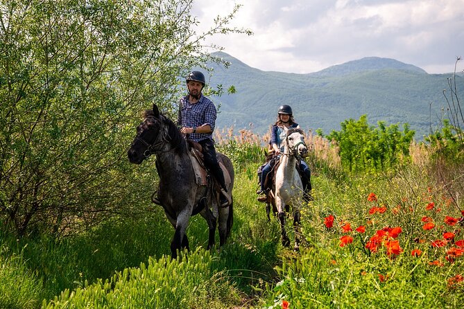 Half-Day of Horseback Adventure with Wine Tasting - What’s Included and Why It Matters