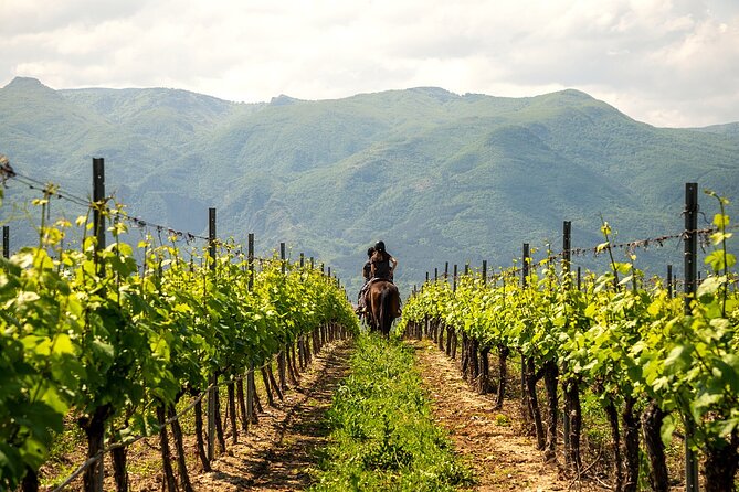 Half-Day of Horseback Adventure with Wine Tasting - Practical Details & What to Expect
